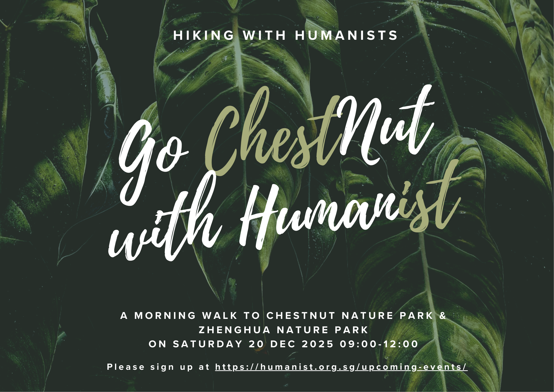 🌿 GO chestNUT with HUMANists 🌿— A Morning walk to Chestnut Nature Park ...